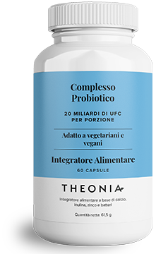 Theonia IT